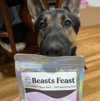 Freeze Dried Chicken Breast – Beasts Feast